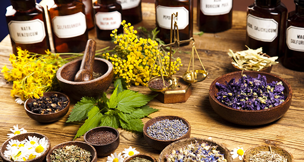 The Four Principles Of Alternative Healing Gems 4 Friends the-four-principles-of-alternative-healing-gems-4-friends